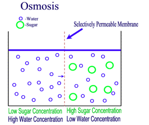 Blogg1: Praksis hos Lifecare AS - Medtekpraksis UiB